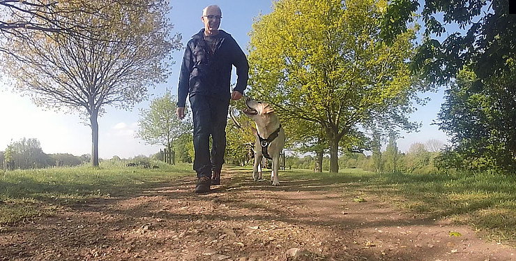 Loose Lead Walking – Shay Kelly