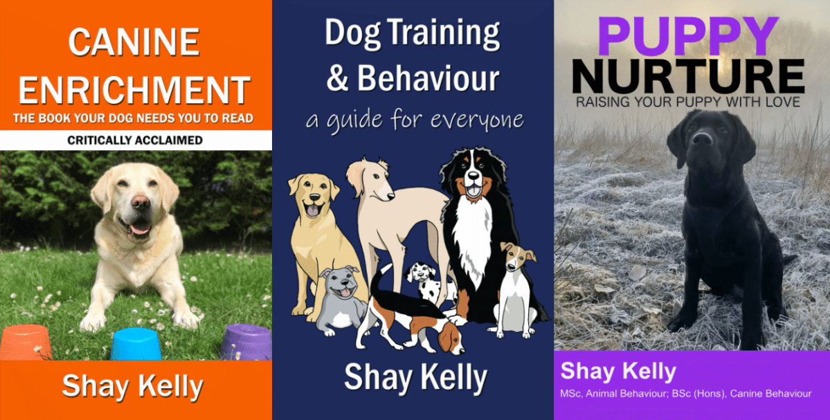 Shay Kelly – Understanding Dogs