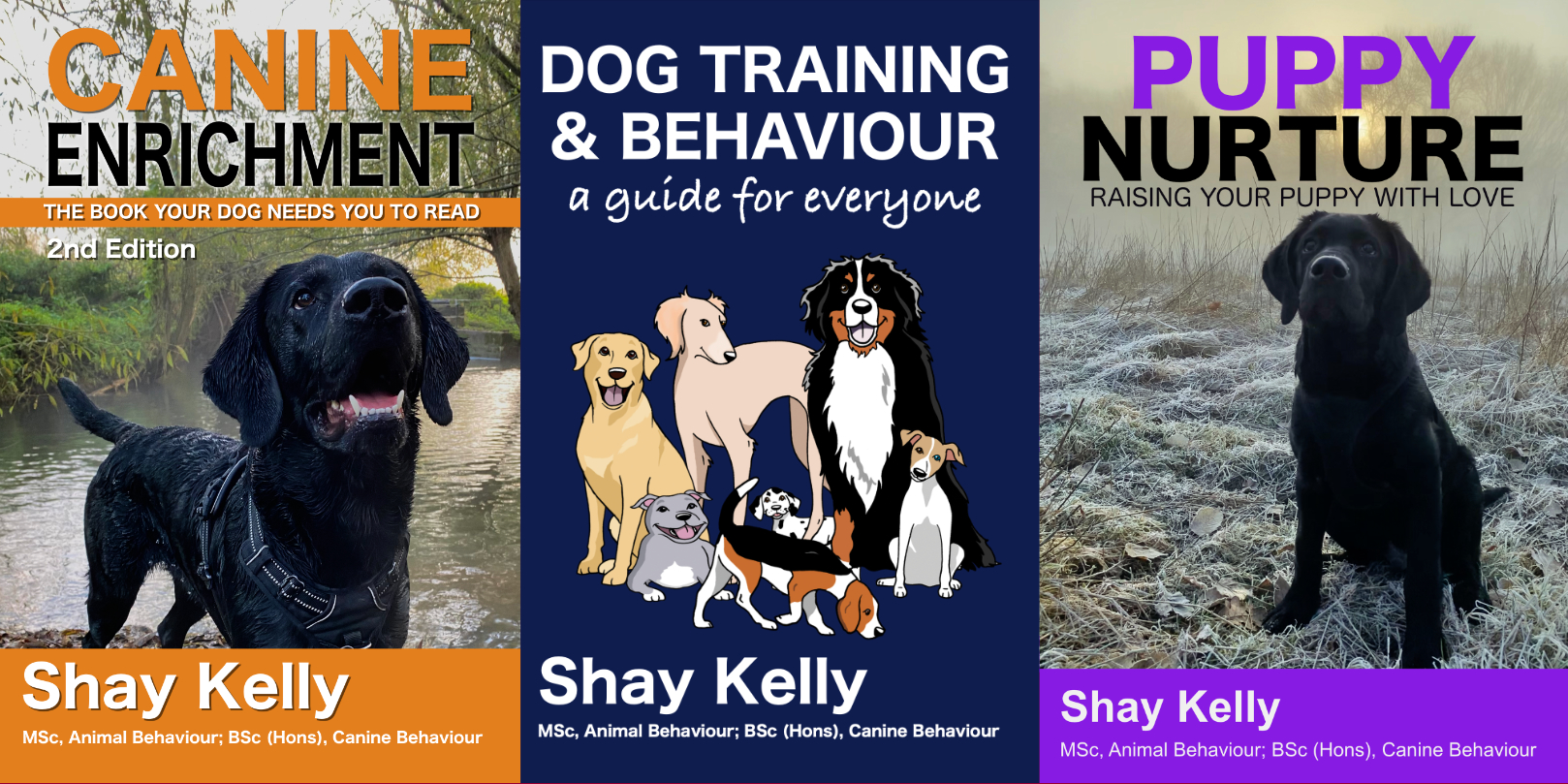 Shay Kelly – Understanding Dogs