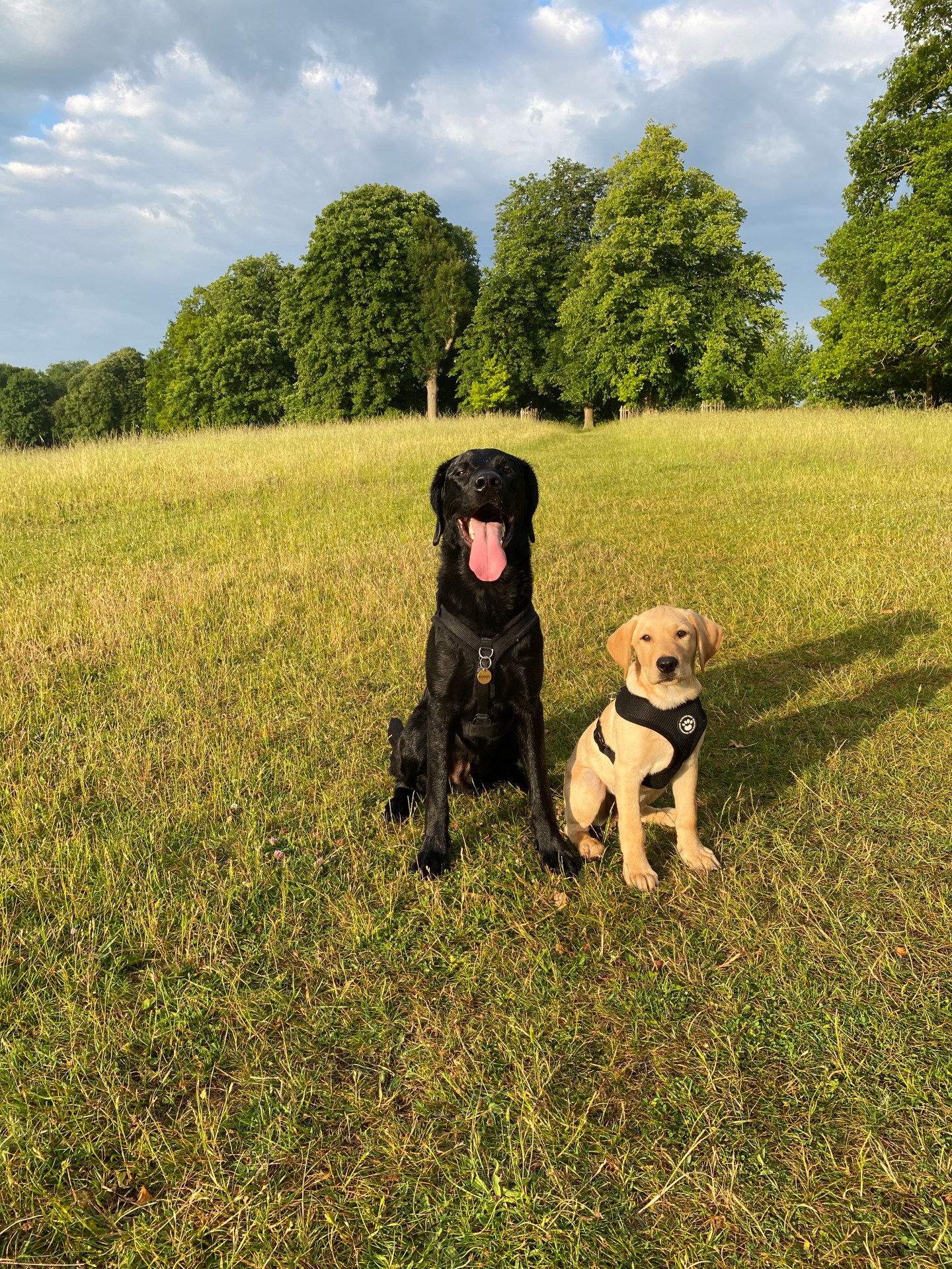 Contact – Shay Kelly